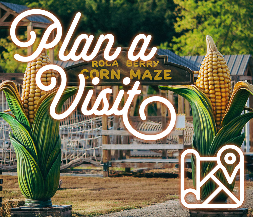 Roca Berry Farm | Fall Festival & Family Farm in Roca, Nebraska