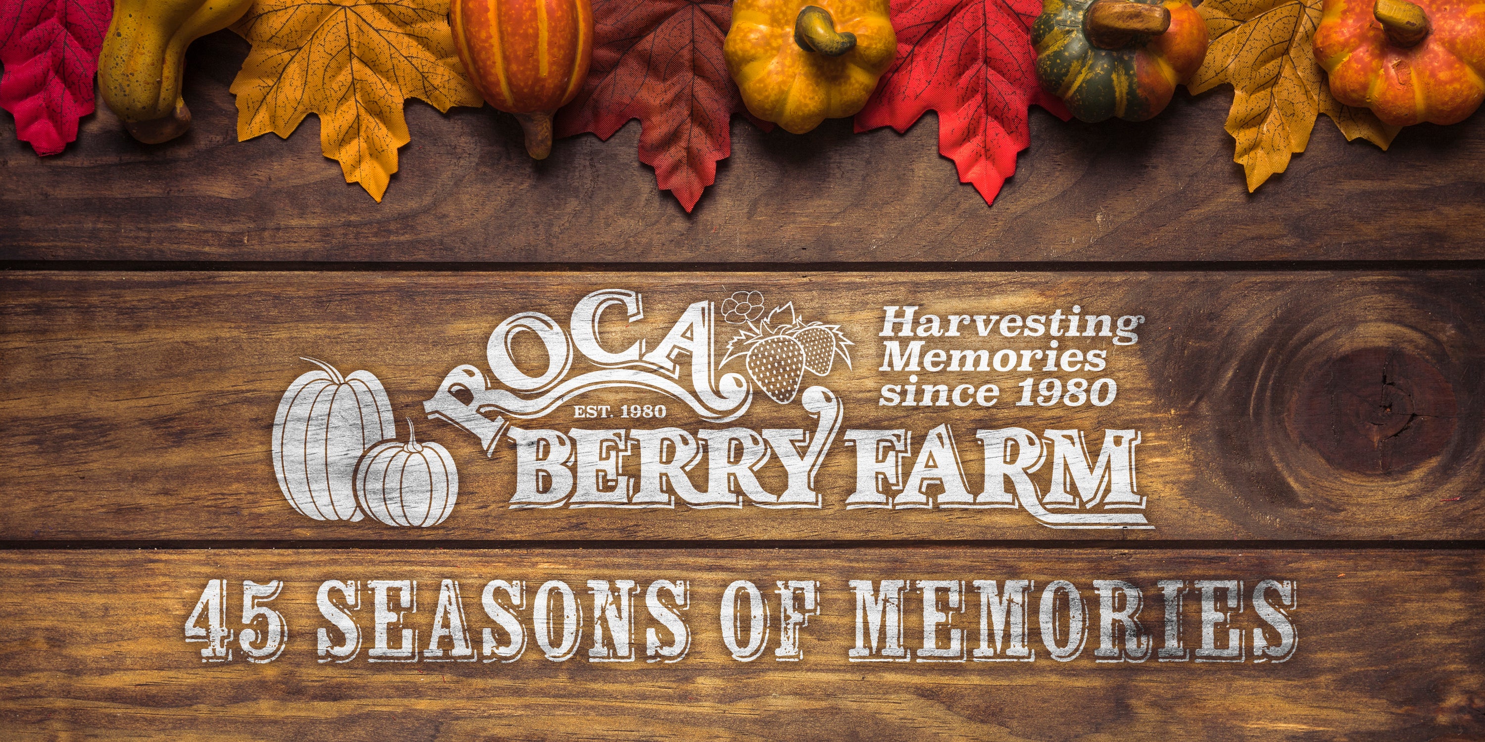 Roca Berry Farm | Fall Festival & Family Farm in Roca, Nebraska