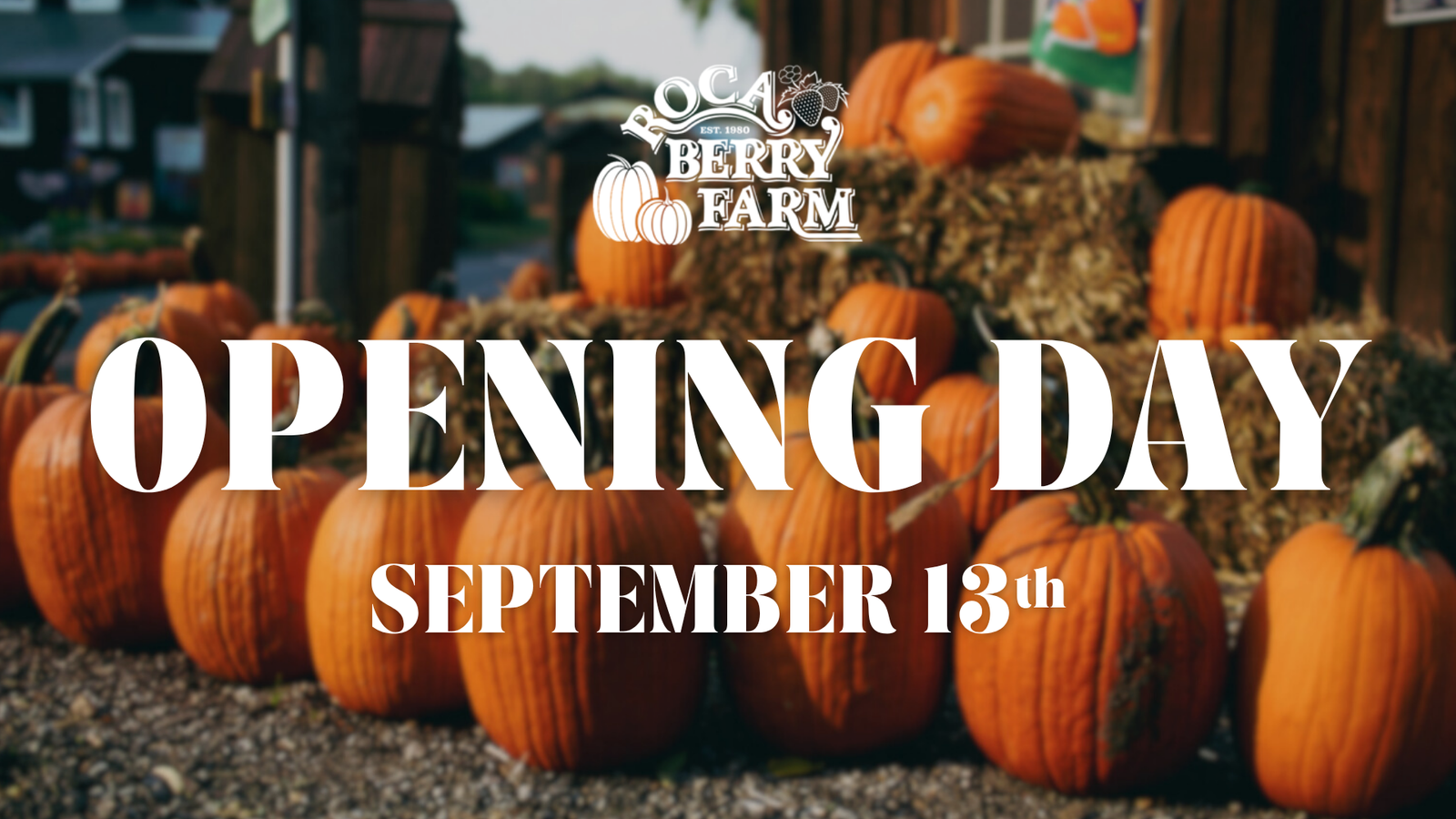 Attractions - Fun Family Activities | Roca Scary Farm