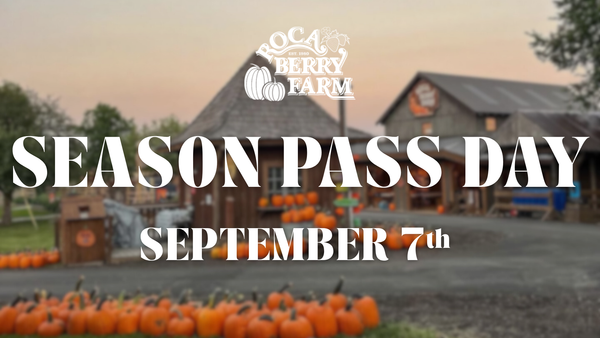 Attractions - Fun Family Activities | Roca Scary Farm