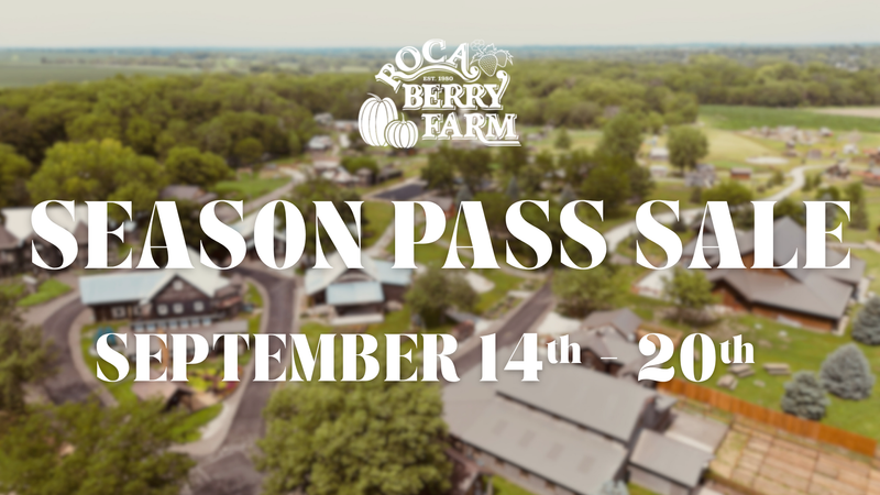 Attractions - Fun Family Activities | Roca Scary Farm